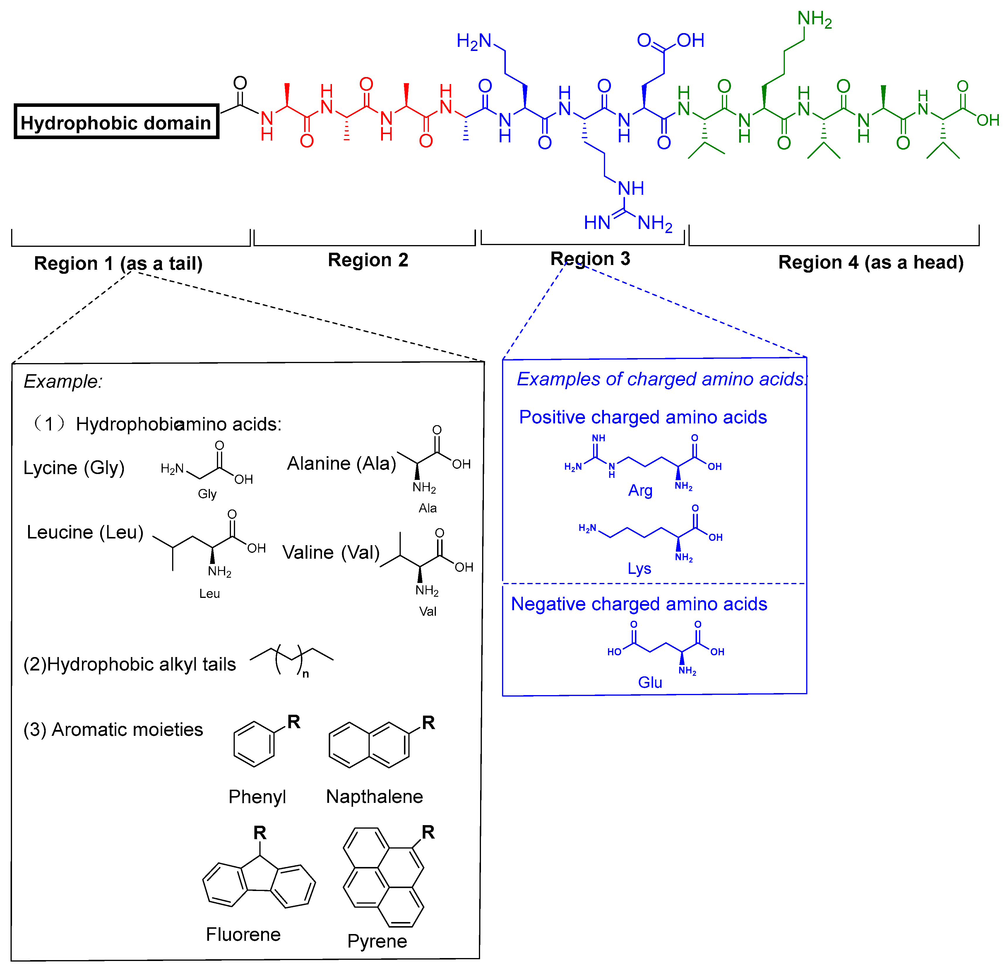 Self-Assembling Peptides for Vaccine Adjuvant Discovery