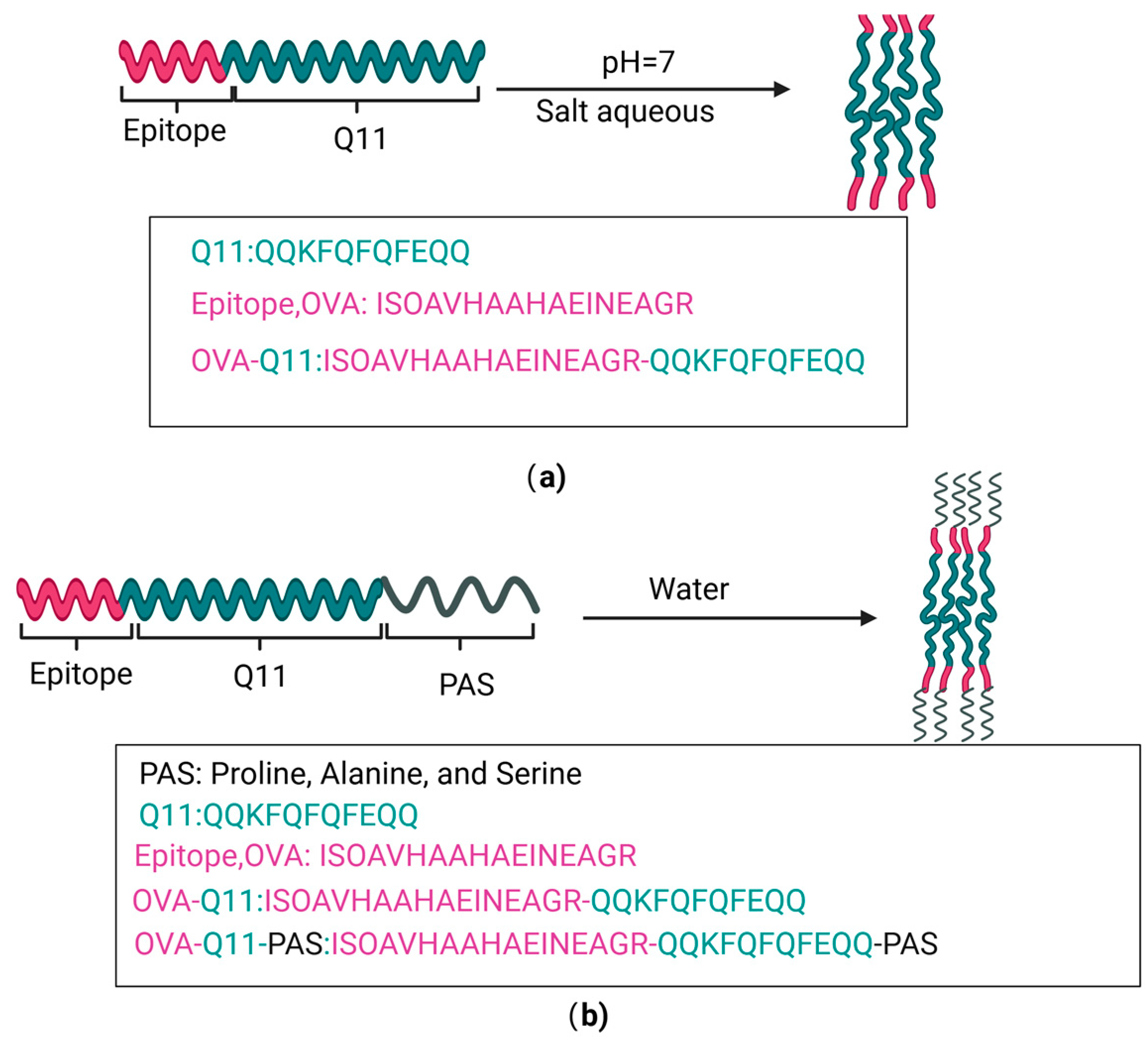 Self-Assembling Peptides for Vaccine Adjuvant Discovery