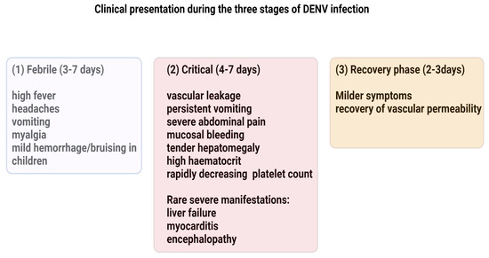 Host Immune Response to Dengue Virus Infection: Friend or Foe?