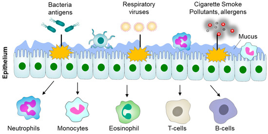 Role of Inflammatory Mediators in Chronic Obstructive Pulmonary Disease ...