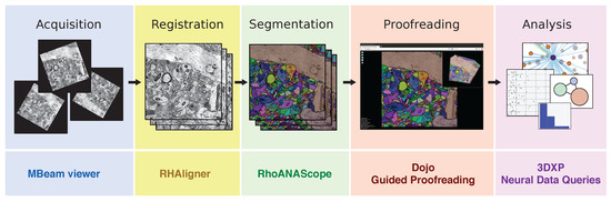 Informatics | Free Full-Text | Scalable Interactive Visualization for ...