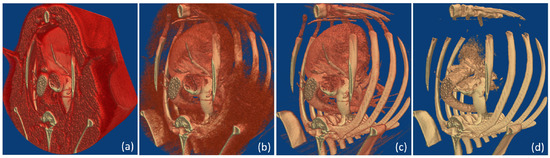Informatics | Free Full-Text | Modern Scientific Visualizations on the Web
