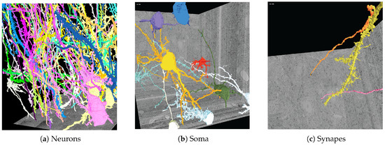 Informatics | Free Full-Text | Modern Scientific Visualizations on the Web