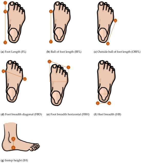 The Design and Development of a Foot-Detection Approach Based on Seven-Foot Dimensions: A Case ...