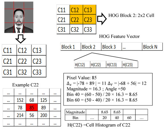 Compact-Fusion Feature Framework for Ethnicity Classification
