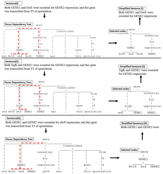 Informatics | Free Full-Text | Knowledge-Based Intelligent Text ...