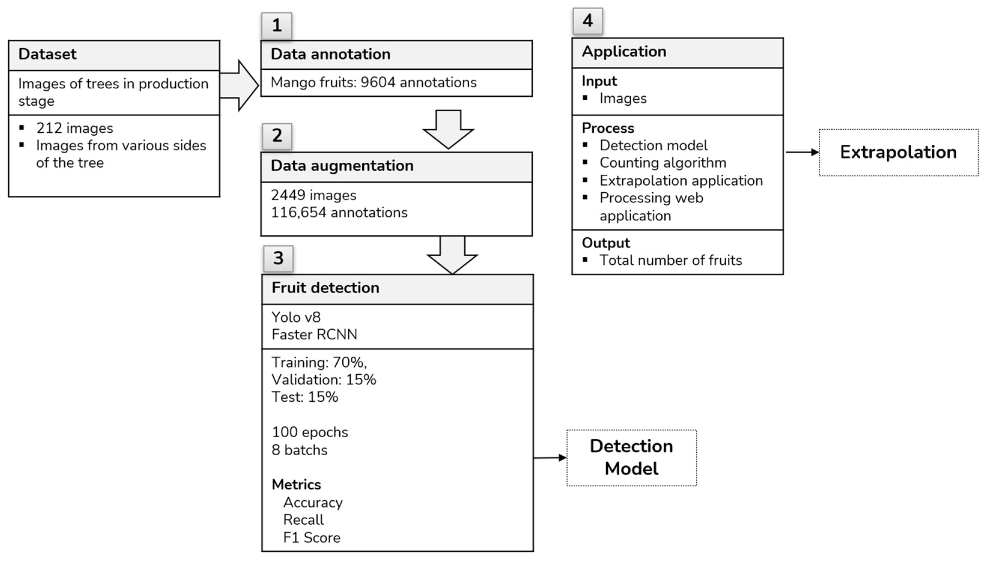 Estimation of Mango Fruit Production Using Image Analysis and Machine Learning Algorithms