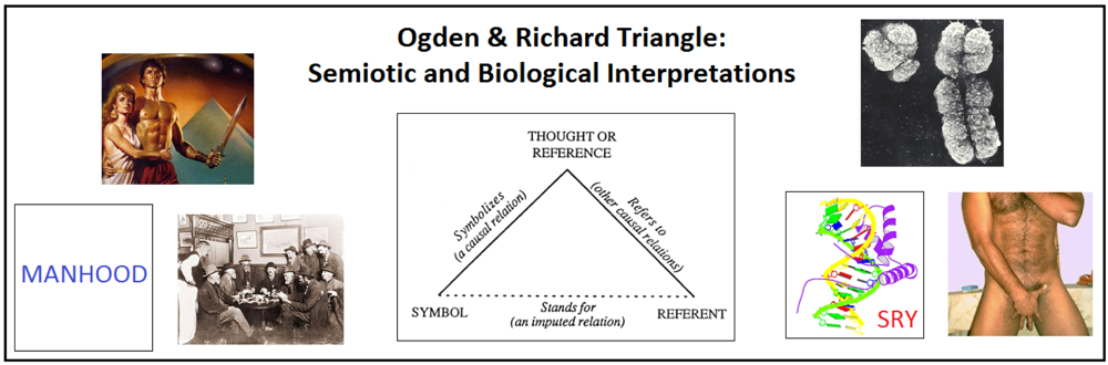 Biological Information—Definitions from a Biological Perspective