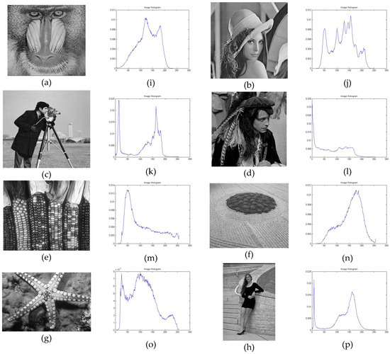 Information | Free Full-Text | A Quick Artificial Bee Colony Algorithm for Image Thresholding