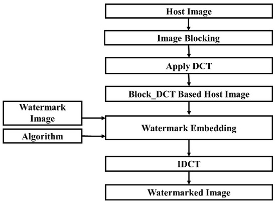 Information | Free Full-Text | Digital Image Watermarking Techniques: A ...