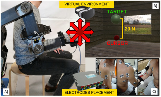 Task-Oriented Muscle Synergy Extraction Using An Autoencoder-Based ...