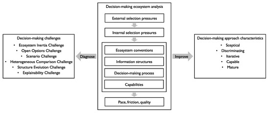 The Limitations of Decision-Making