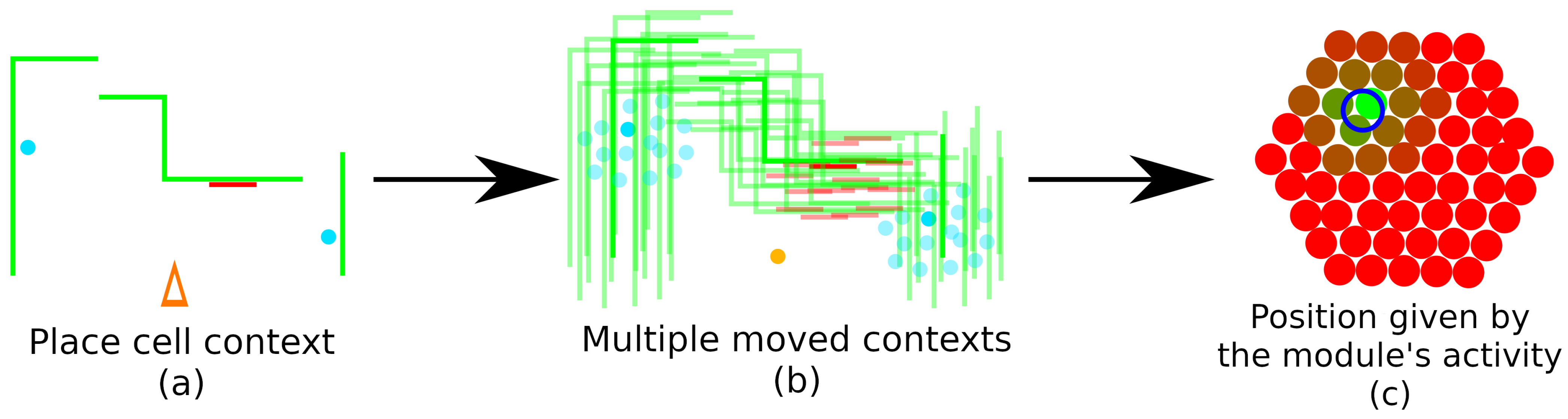 Information | Free Full-Text | Towards a Predictive Bio-Inspired Navigation Model