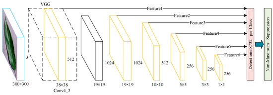 DBA_SSD: A Novel End-to-End Object Detection Algorithm Applied to Plant ...