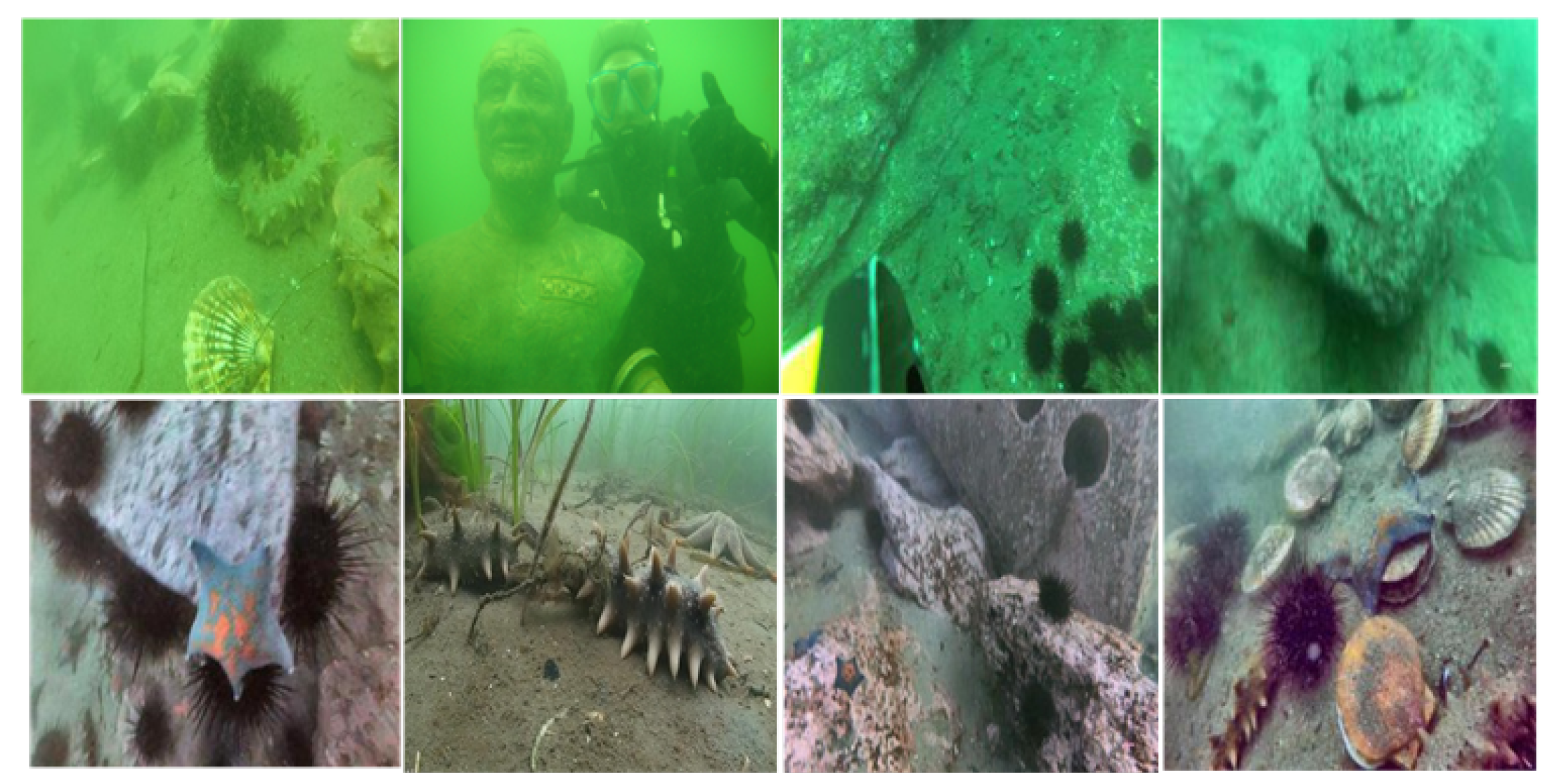 Unpaired Underwater Image Enhancement Based on CycleGAN