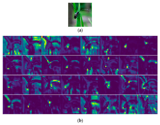Object Detection Based On Yolov5 And Ghostnet For Orchard Pests