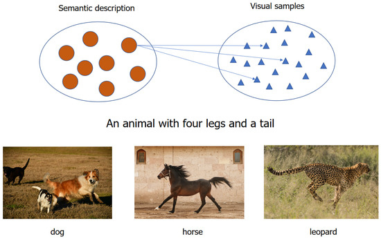 Multi-Dimensional Information Alignment in Different Modalities for ...