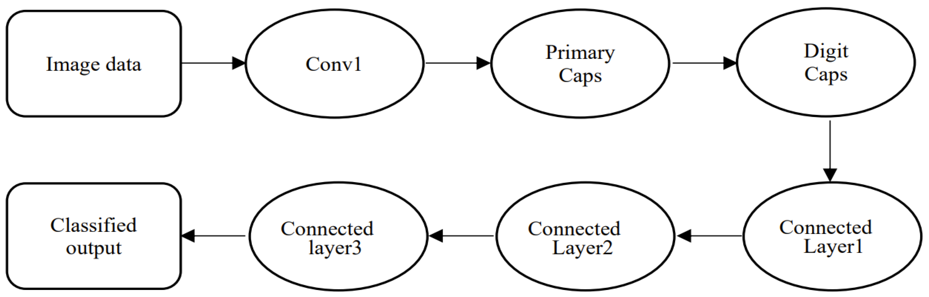 Liver CT Image Recognition Method Based on Capsule Network