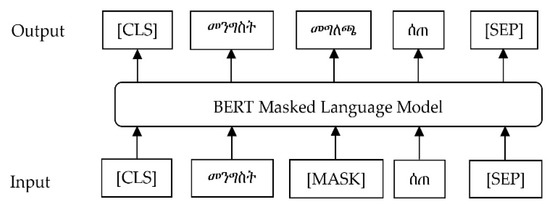 Learned Text Representation for Amharic Information Retrieval and ...