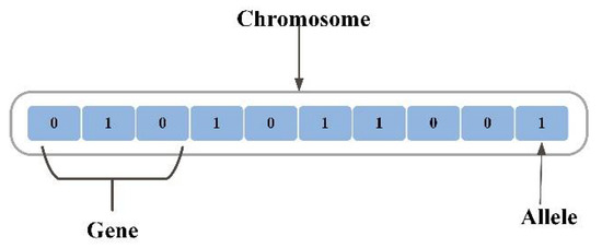 Information | Free Full-Text | Oriented Crossover in Genetic Algorithms ...