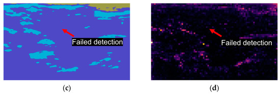 Assessing Cardiac Functions of Zebrafish from Echocardiography Using Deep Learning