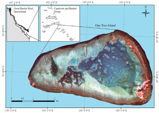 Reef-Insight: A Framework for Reef Habitat Mapping with Clustering Methods Using Remote Sensing