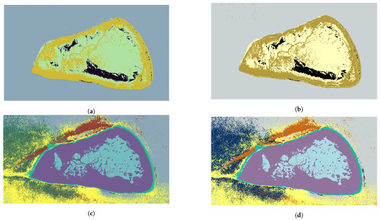 Reef-Insight: A Framework for Reef Habitat Mapping with Clustering Methods Using Remote Sensing