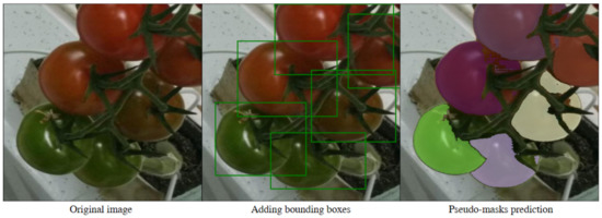 Enabling Multi Part Plant Segmentation With Instance Level Augmentation Using Weak Annotations