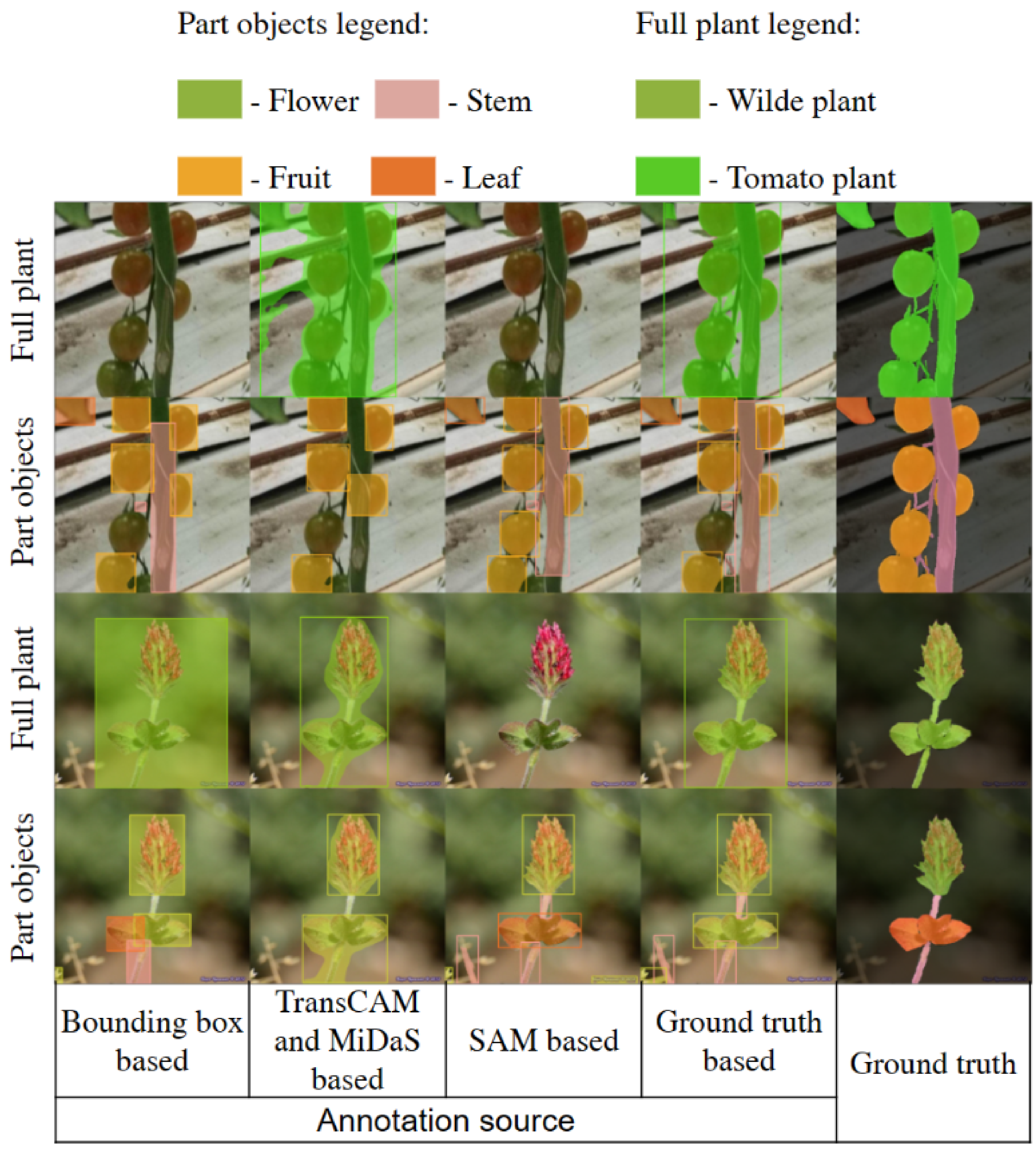 Enabling Multi Part Plant Segmentation With Instance Level Augmentation Using Weak Annotations