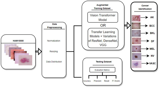 Multi-Class Skin Cancer Classification Using Vision Transformer ...