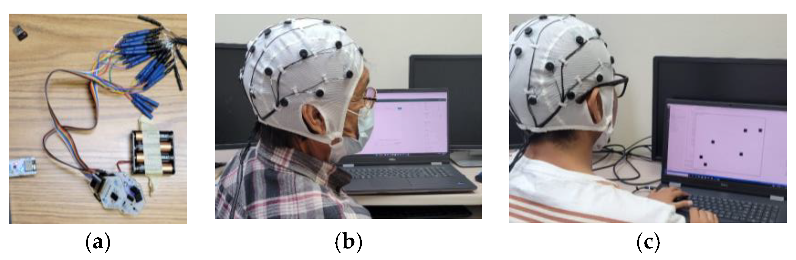 A Deep Neural Network for Working Memory Load Prediction from EEG Ensemble Empirical Mode ...