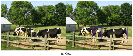 RTAD: A Real-Time Animal Object Detection Model Based on a Large ...