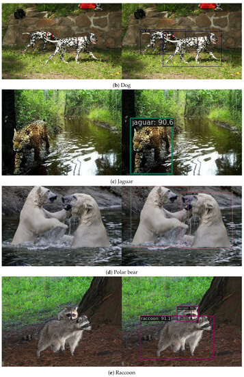 Information | Free Full-Text | RTAD: A Real-Time Animal Object ...