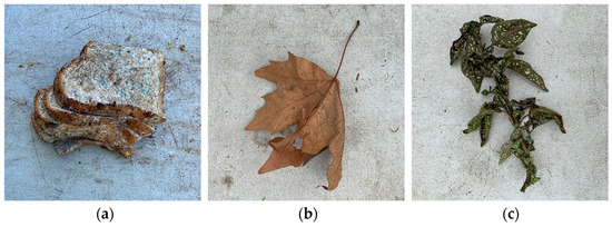 RealWaste: A Novel Real-Life Data Set for Landfill Waste Classification ...