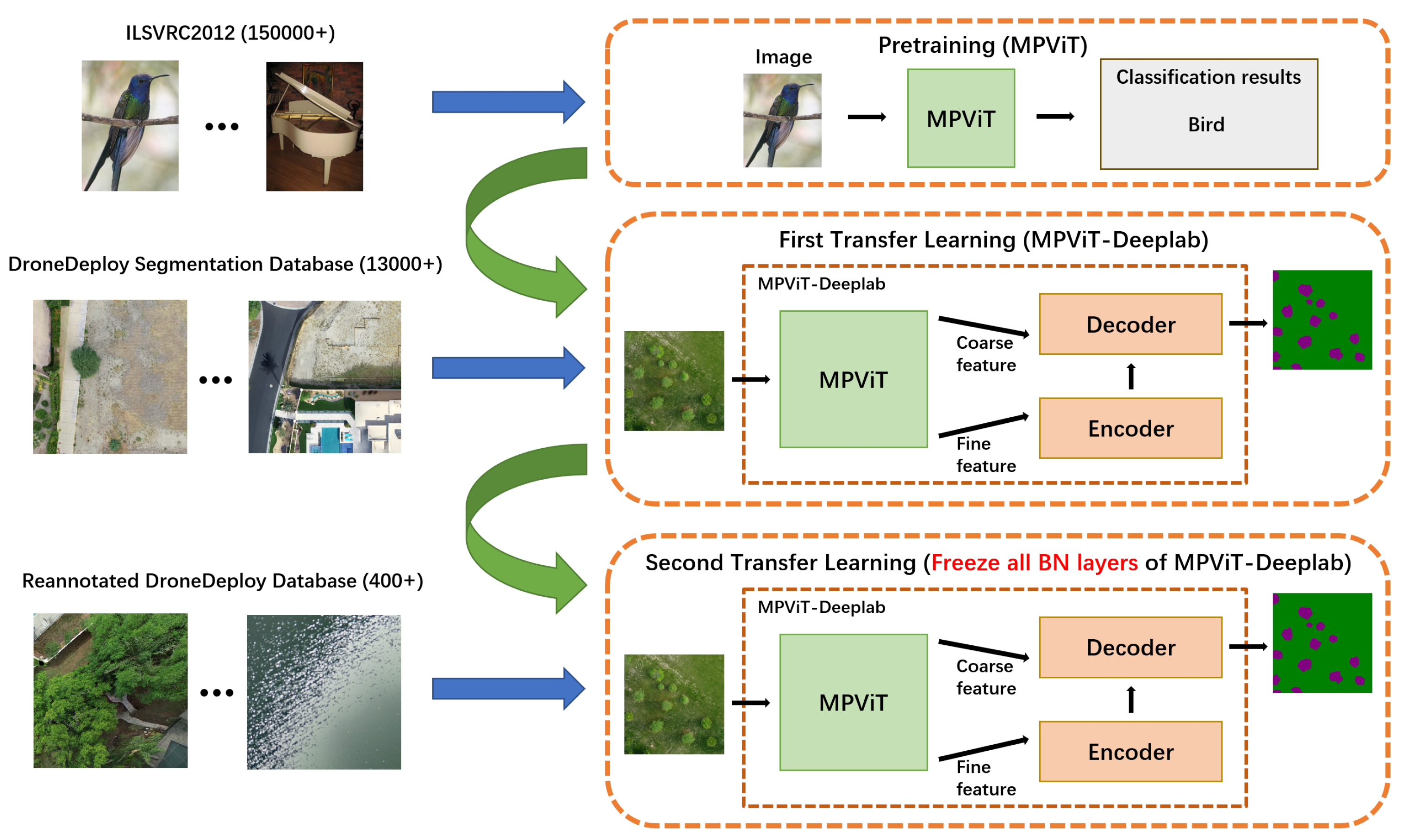 Three-Stage MPViT-DeepLab Transfer Learning for Community-Scale Green Infrastructure Extraction