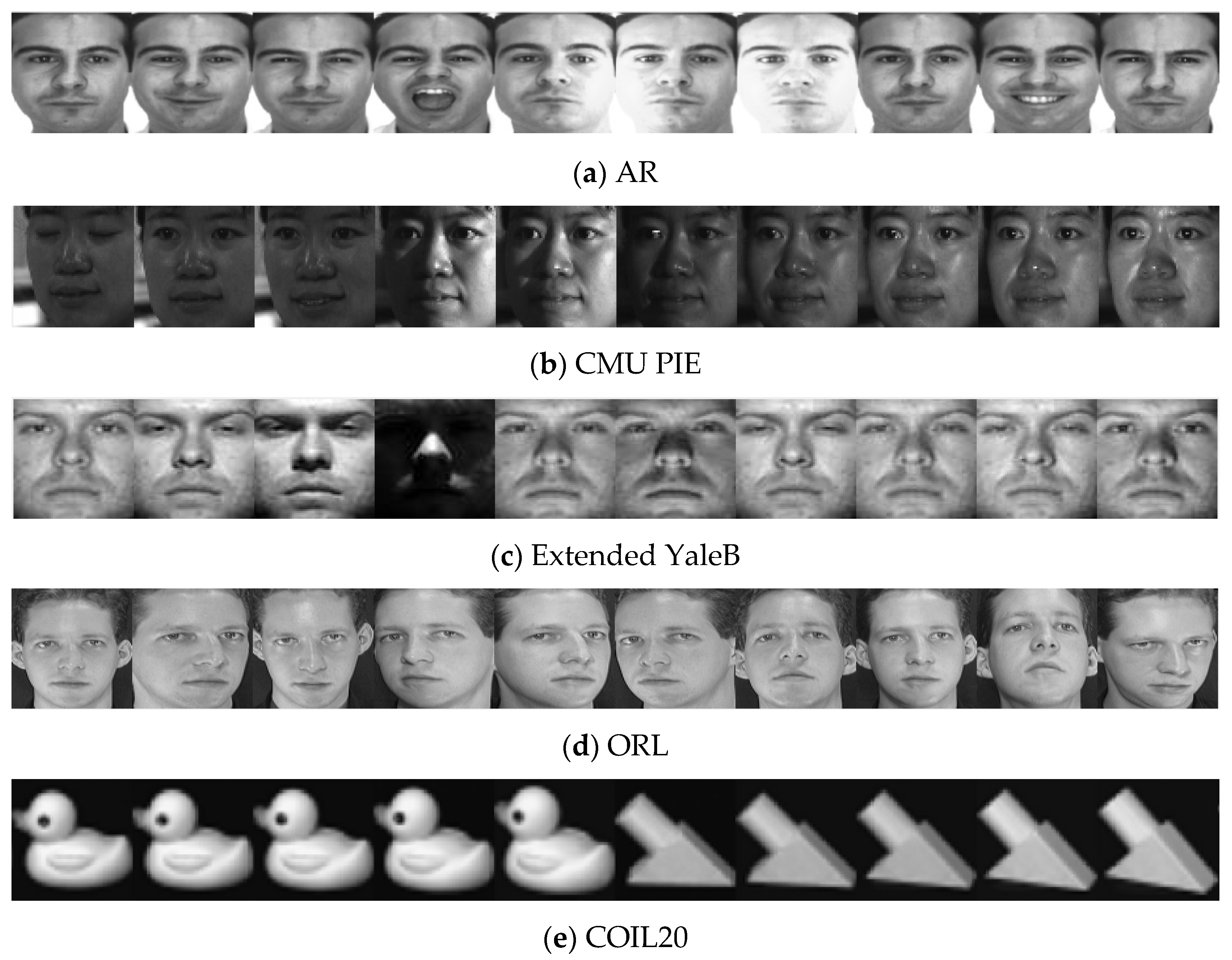 SFS-AGGL: Semi-Supervised Feature Selection Integrating Adaptive Graph with Global and Local ...