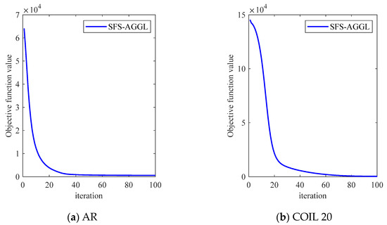 SFS-AGGL: Semi-Supervised Feature Selection Integrating Adaptive Graph with Global and Local ...