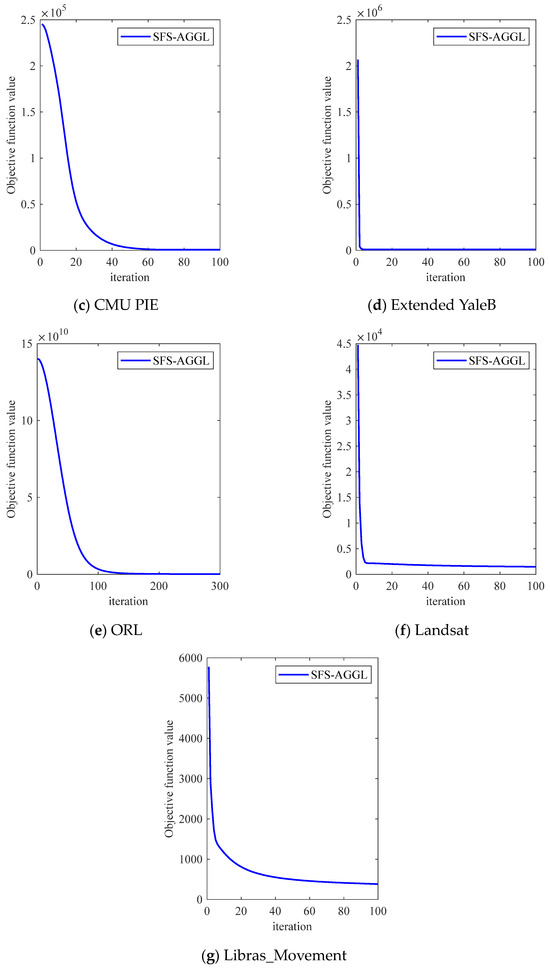 SFS-AGGL: Semi-Supervised Feature Selection Integrating Adaptive Graph with Global and Local ...
