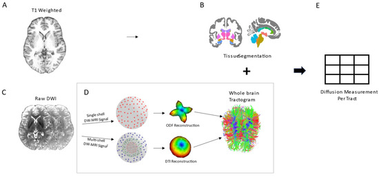 Baseline Structural Connectomics Data of Healthy Brain Development ...
