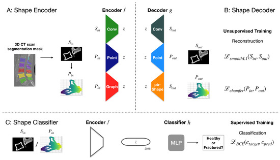 Shape Matters: Detecting Vertebral Fractures Using Differentiable Point ...