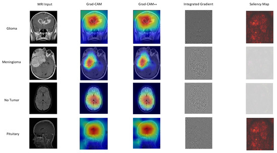 Information | Free Full-Text | Bridging the Gap: Exploring ...
