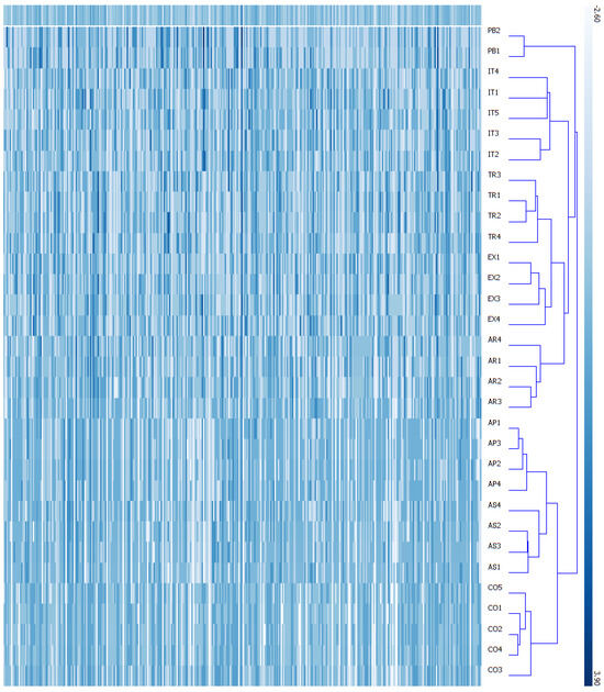 Social Media Influencers: Customer Attitudes and Impact on Purchase ...
