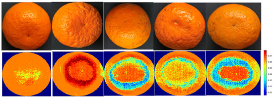 Application of Attention-Enhanced 1D-CNN Algorithm in Hyperspectral ...