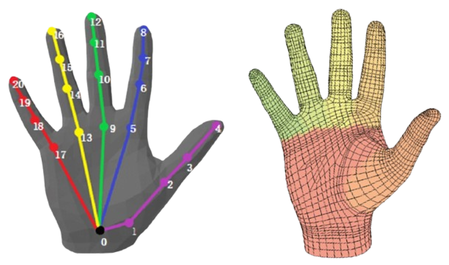 Using 3D Hand Pose Data in Recognizing Human–Object Interaction and User Identification for ...