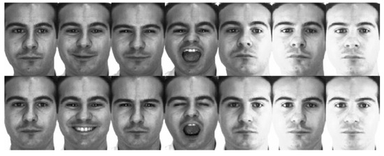 A Systematic Review of CNN Architectures, Databases, Performance ...