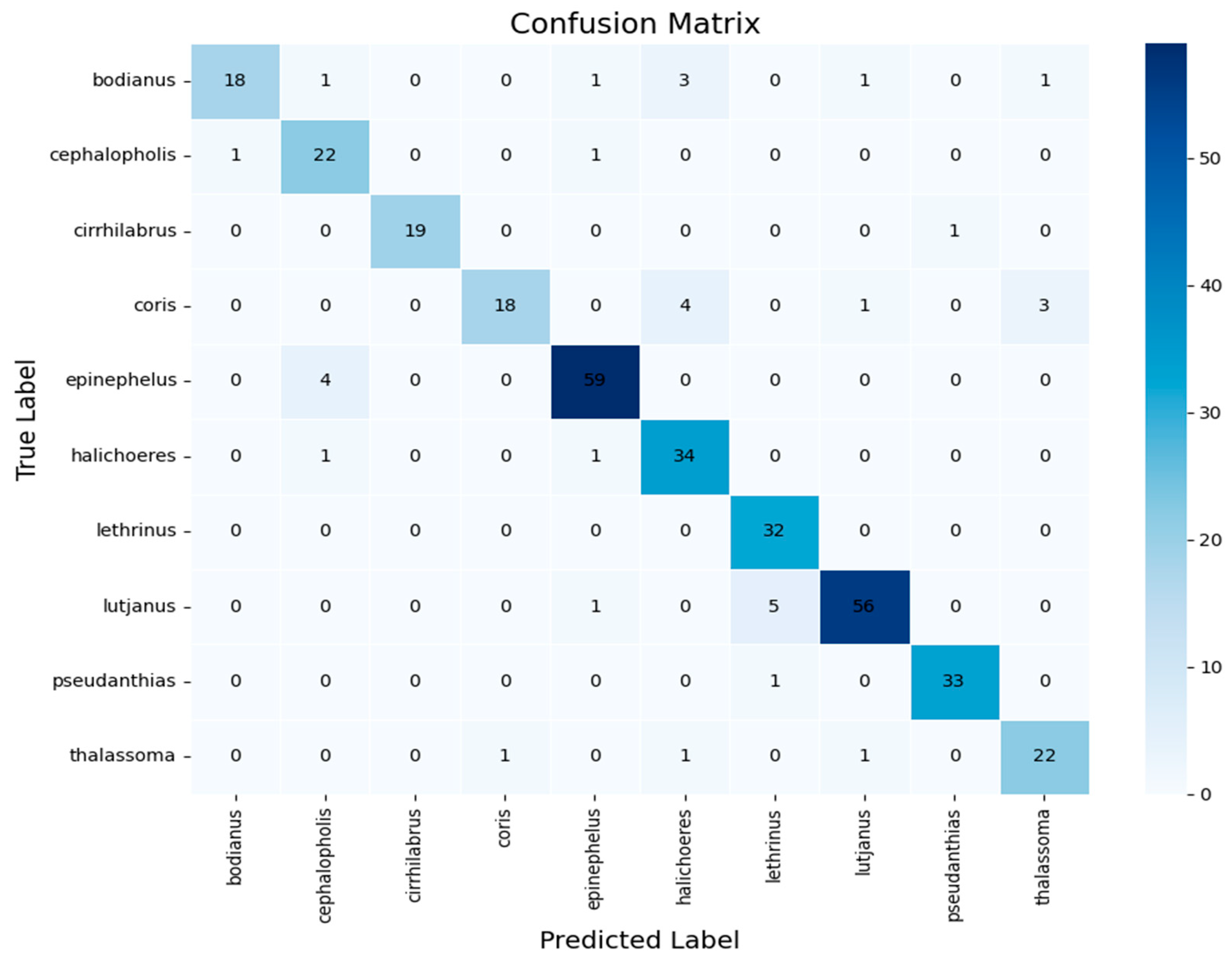 CNN-Based Optimization for Fish Species Classification: Tackling Environmental Variability ...