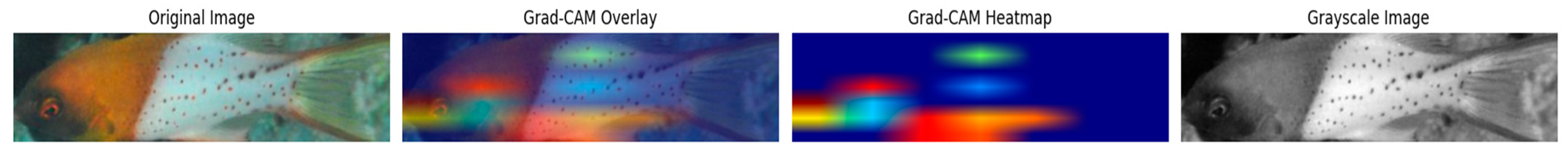 CNN-Based Optimization for Fish Species Classification: Tackling ...