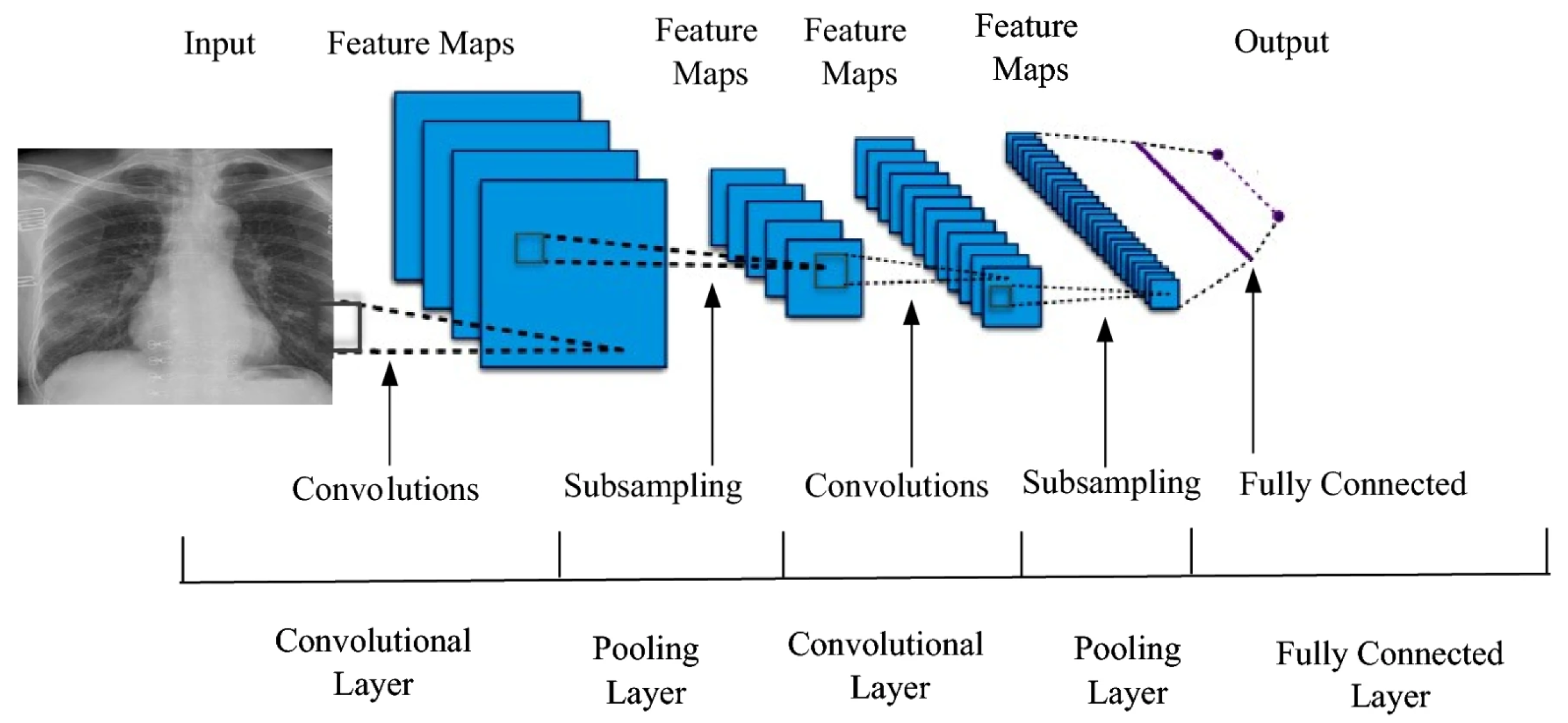Deep Convolutional Neural Networks in Medical Image Analysis: A Review