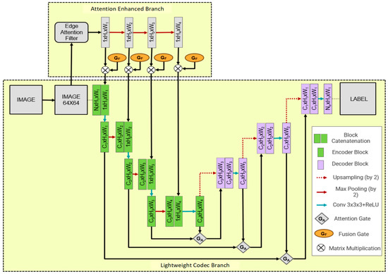 A Lightweight Neural Network for Cell Segmentation Based on Attention Enhancement