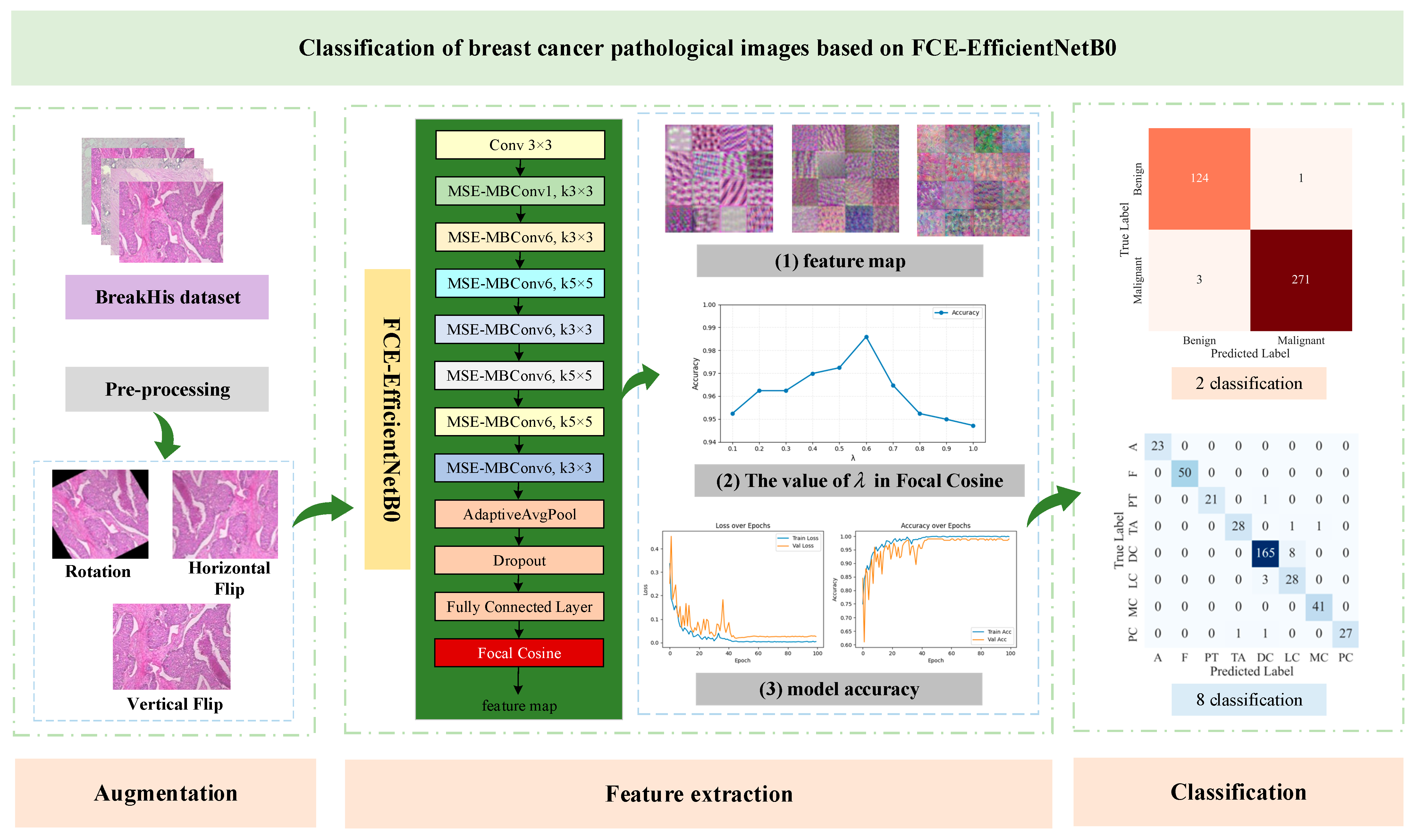 Focal Cosine-Enhanced EfficientNetB0: A Novel Approach to Classifying Breast Histopathological ...
